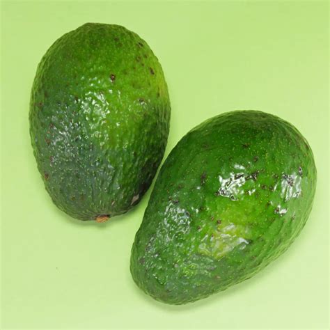 Avocat