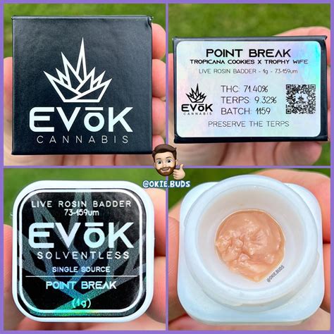 🌊 Point Break Live Hash Rosin 🌊 R Rosin
