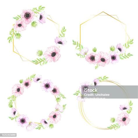 수채화 손 그린 말미잘 꽃 꽃 다케 화환 골드 기하학적 프레임 배너 컬렉션 0명에 대한 스톡 벡터 아트 및 기타 이미지 0명 개화기 관목 Istock