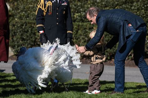 Biden Pardons Turkeys Named Chocolate Chip In Annual Thanksgiving