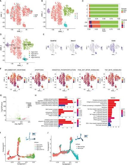 Biomolecules Free Full Text Integration Of Scrna Seq And Bulk Rna