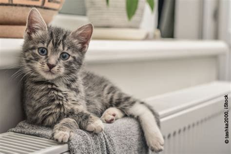 Für Bad Und Heizung Zu Badandheizung Bad And Heizung