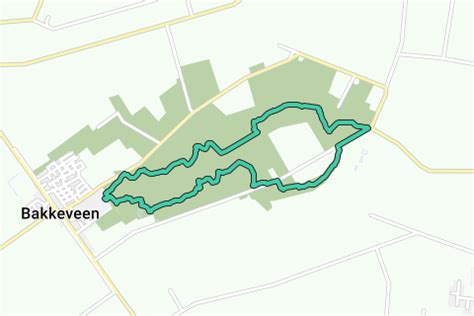Long Circular Walk Through The Bakkeveense Duinen Dunes Recreational