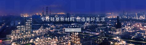 合盛硅业股份有限公司