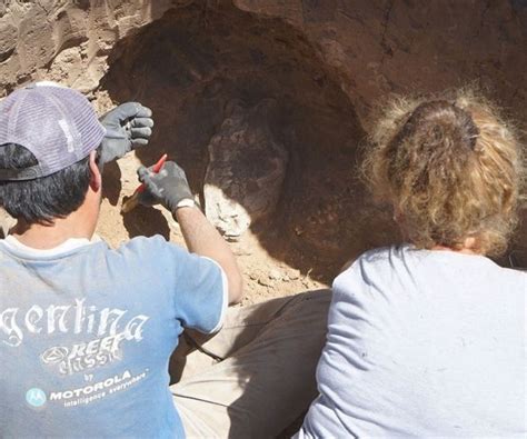 Notícias Novo planeta que pode ser habitável foi encontrado pela Nasa