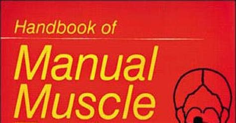 Book Handbook Of Manual Muscle Testing Pdf Docdroid