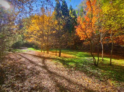 Пътека на здравето в Банкя — Приключения с Живко Константинов