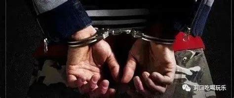 洞口警方刑拘两名两卡人员 高沙 讯问 杨某某