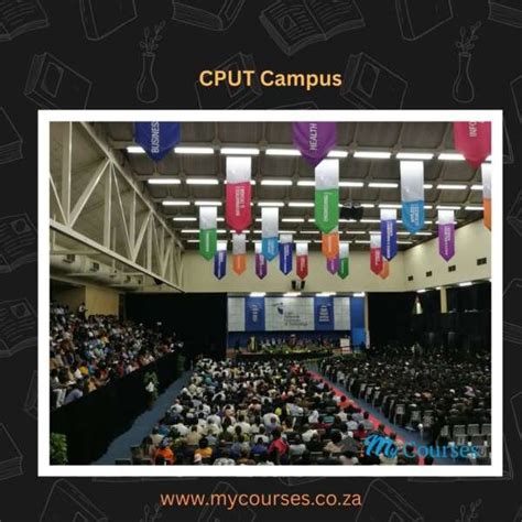 Cput Online Application 2026 Undergraduate My Courses