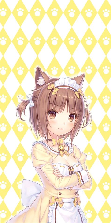 Nekopara Vol 3 Cgs Extracted From Data Rnekoparagame