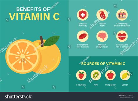 Vitamin C Benefits For Ed At Jennifer Johansen Blog