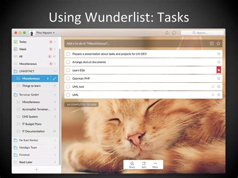 Task Management Workflow And Tool Ppt