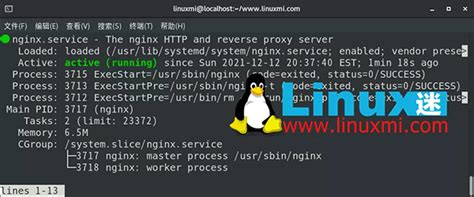 在 Linux 上安装 Nginx 搭建属于自己的 Web 服务器 linux用nginx搭建web服务器