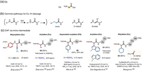 Postassembly Modifications Of Peptides Via Metal Catalyzed Ch