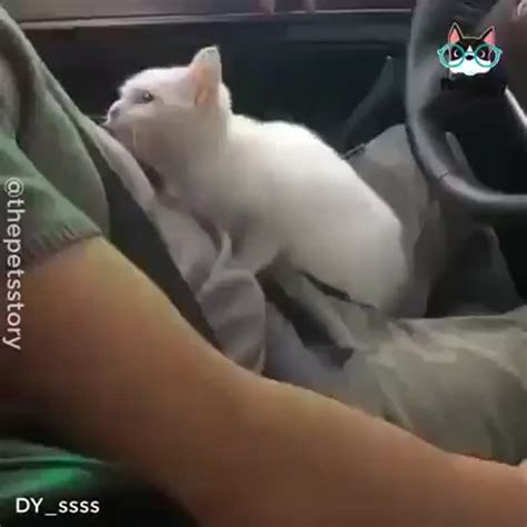 Ali Rostami Posted On Linkedin