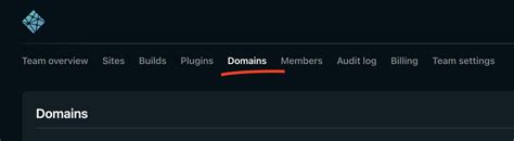 How Can I Add My Customs Dns By Coelmay Support Netlify