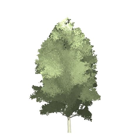 200 000 Kostenlose Gemalten Baum Und Baum Bilder Pixabay