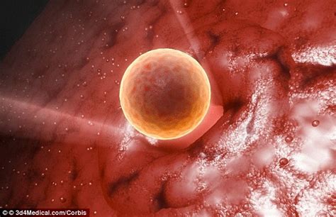 Number Of Women Having Egg Supply Test Soars By 200 In A Year Daily
