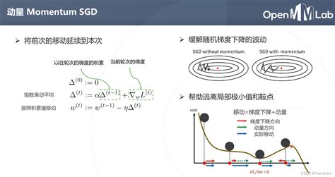 【openmmlab实践】03mmclassification理论（cnn分类模型训练以及pytorch简介 中）openmmlab 模型