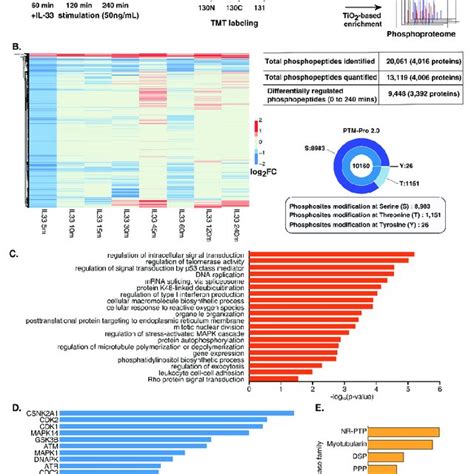 Temporal Phosphoproteomics And Proteomic Analysis Of Thp 1 Monocytes Download Scientific