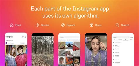 SOLVED Instagram Algorithm Tips For