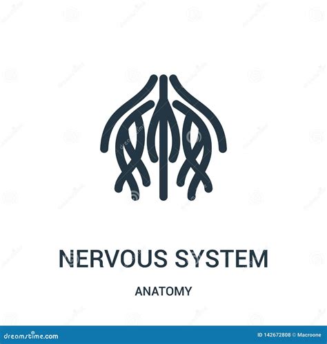 Vettore Dell Icona Del Sistema Nervoso Dalla Raccolta Di Anatomia Linea