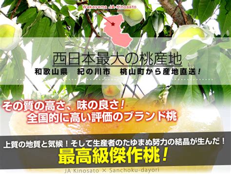 和歌山県より産地直送 Ja紀の里 あら川の桃 清水白桃 赤秀品 18キロ 6玉から8玉 送料無料 桃 もも 和歌山県産フルーツja