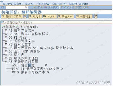Sap Abap Sap Slxt Sap Slxt Csdn