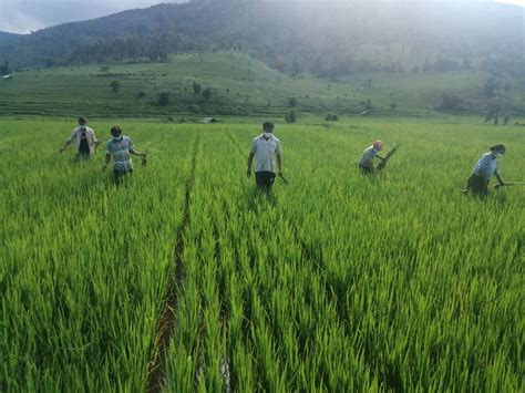 ကွတ်ခိုင်မြို့နယ်အတွင်း ကိုဗစ် ၁၉ စီးပွားရေးကုစားမှုအစီအစဉ် Cerp အရ