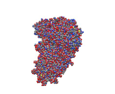 august 2022 development update general discussion avogadro discussion