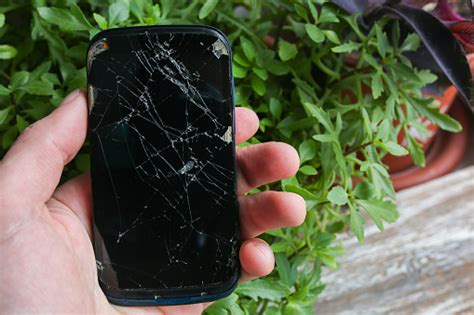 남자 손에 녹색 잎 식물 배경에 추락된 블랙 스마트폰을 들고 있다 깨진된 Lcd 터치 스크린입니다 정보 기술 사진입니다 Lcd에 대한 스톡 사진 및 기타 이미지 Istock