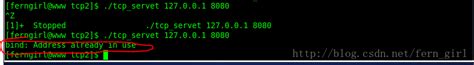 Tcp Socket绑定（bind）失败 Address Already Is Use原因为什么socket Bind Csdn博客