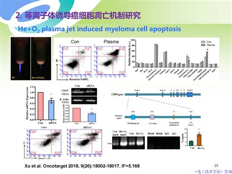 西安交通大学许德晖副教授：等离子体技术治疗癌症的最新研究进展 电气技术杂志社