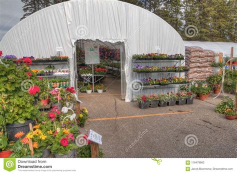 Plants Growing In A Garden Center In Minnesota Stock Image Image Of