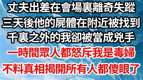 丈夫出差在會場裏離奇失蹤，三天後他的屍體在附近被找到，千裏之外的我卻被當成兇手，一時間眾人都怒斥我是毒婦，不料真相揭開所有人都傻眼了【倫理