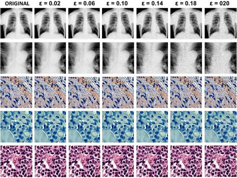 Examples Of Original Images And Their Adversarial Versions With Download Scientific Diagram
