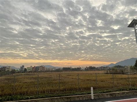 向左走，向右走 知乎