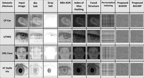 qualitative analysis among color cancelable biometric template