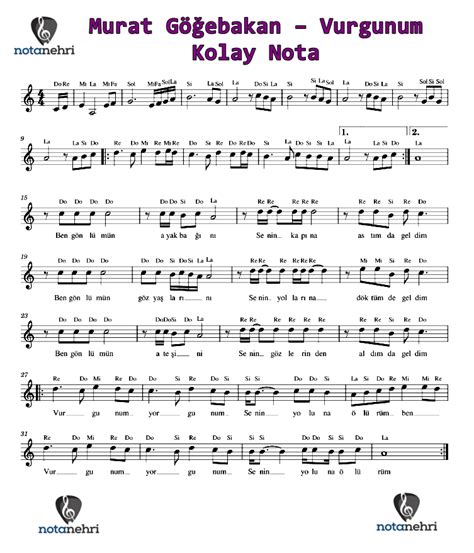 Yeni Başlayanlar İçin En Kolay Melodika Notaları Nota Nehri