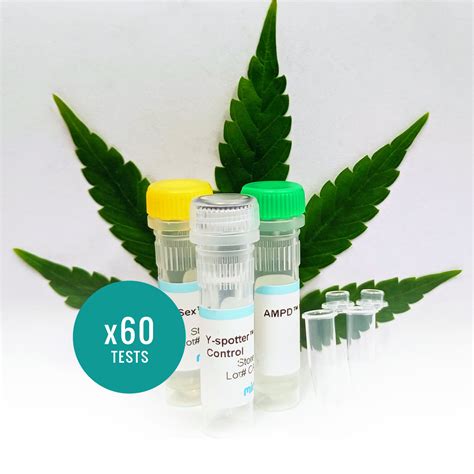 Y Spotter™ Cannabis Sex Test 60 Tests Minipcr Dx