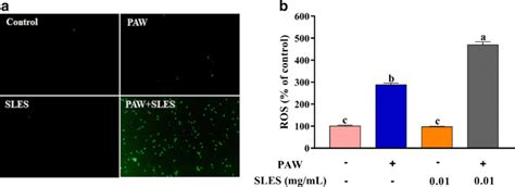 Intracellular Ros Levels In S Cerevisiae Cells S Cerevisiae Cells Download Scientific