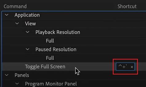 Guia detalhado da Visualização em tela cheia do Premiere Pro