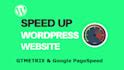 Do Premium Speed Optimization For Your Wordpress Site By Tossytheking Fiverr