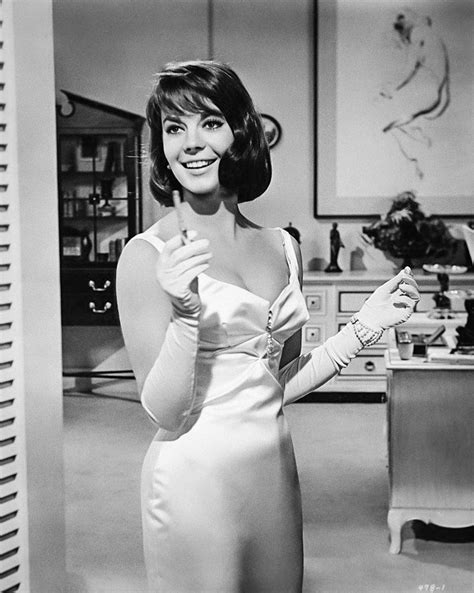 Natalie Wood Publicity Photo For Sex And The Single Girl 1964 R OldbabeCelebs
