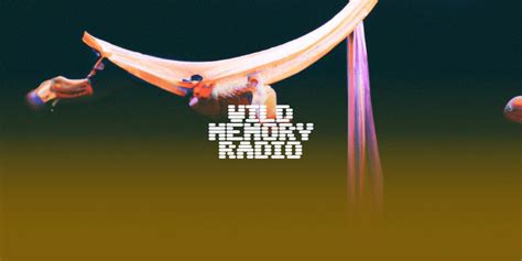 Yuri Suzuki Wild Memory Radio