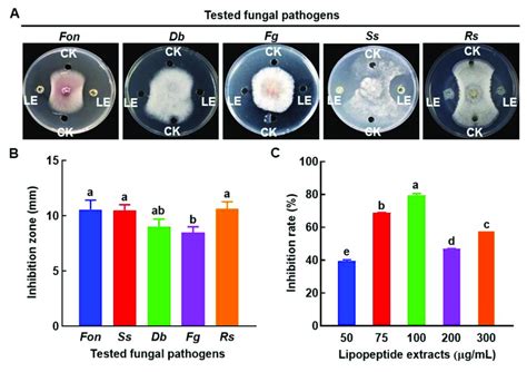 Inhibition Activity Of The Lipopeptide Extract Of Bacillus Download Scientific Diagram