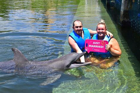 Delphinus Puerto Morelos All You Need To Know Before You Go