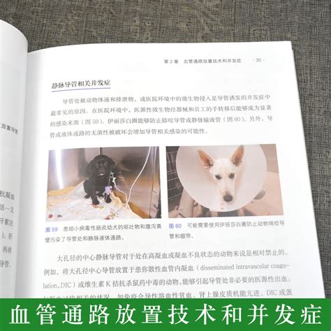 正版书籍小动物液体疗法彩色手册张海霞夏兆飞译猫病学小动物输液犬猫输液小动物输液学犬猫输液疗法中国农业科学技术出版社 虎窝淘