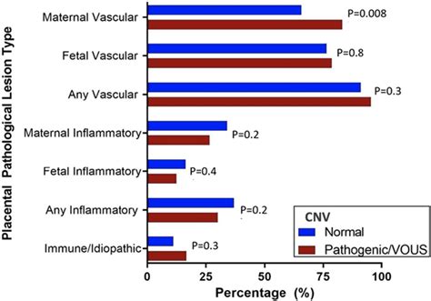 Associations Of Cnvs With Placental Pathological Lesions In Stillborn Download Scientific