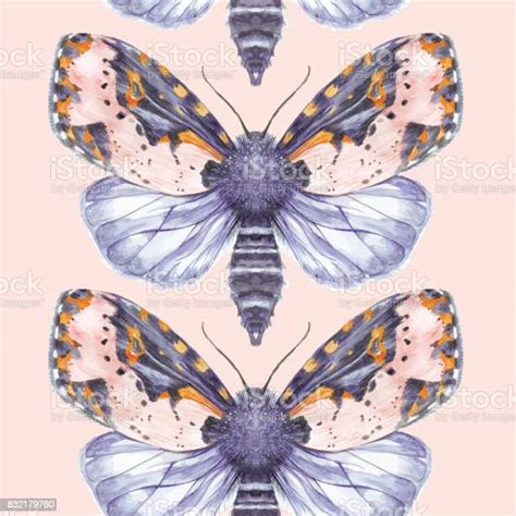 밤 나비 장식 고요한 톤에서 밝아진와 침대 핑크 배경에 인쇄 드로잉 수채화 쉐 나비 곰 원활한 배경 밝은 착 색 두꺼운 몸통